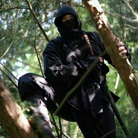 Master Ninja - Friends - GameDesire